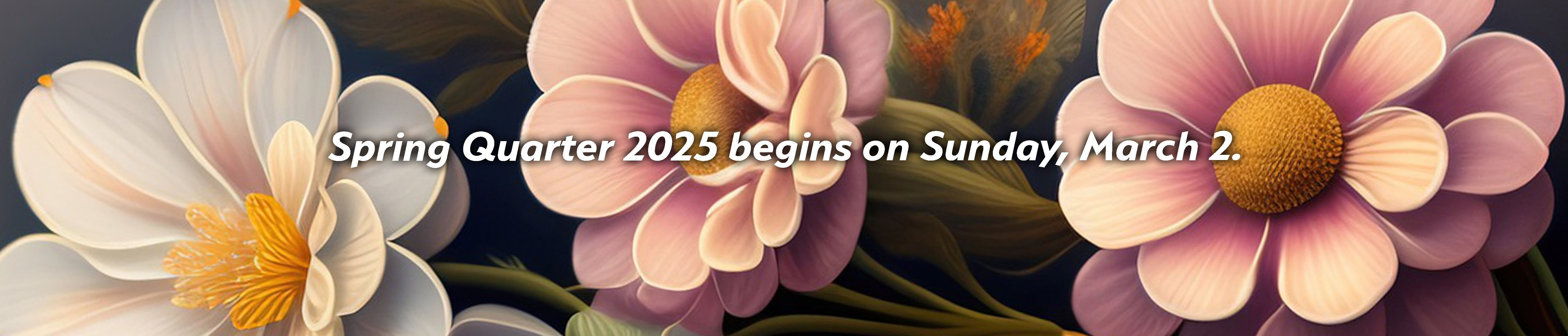 Spring 2025 for Bible Study and Sunday School Curriculum – LifeStone ...